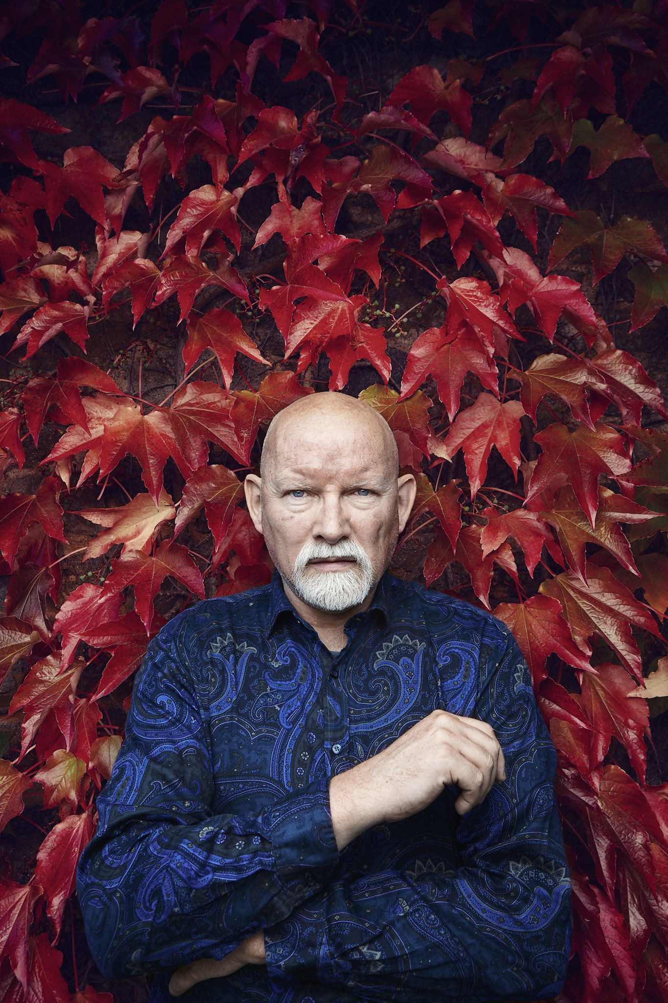 Brendan Perry (Dead Can Dance) interview – Arcane Delights